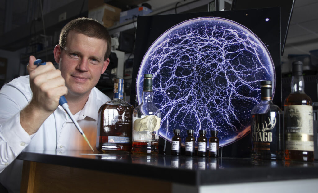 UofL professor researches the 'DNA' of bourbon | UofL News